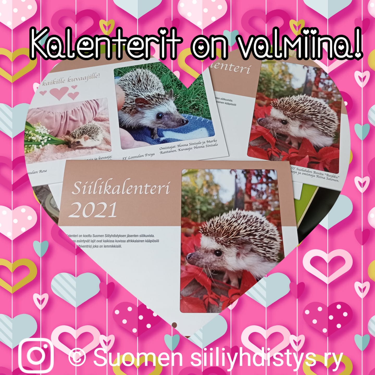 Kalenteri 2021 | Suomen Siiliyhdistys ry.
